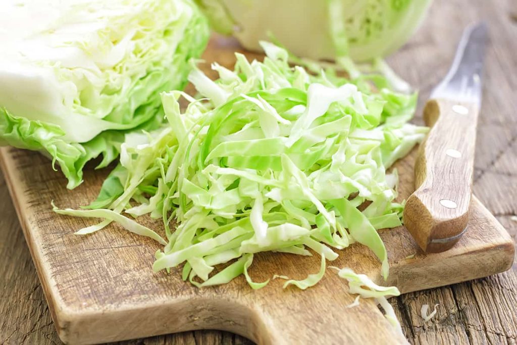 How to Shred Cabbage in A Food Processor - HowdyKitchen