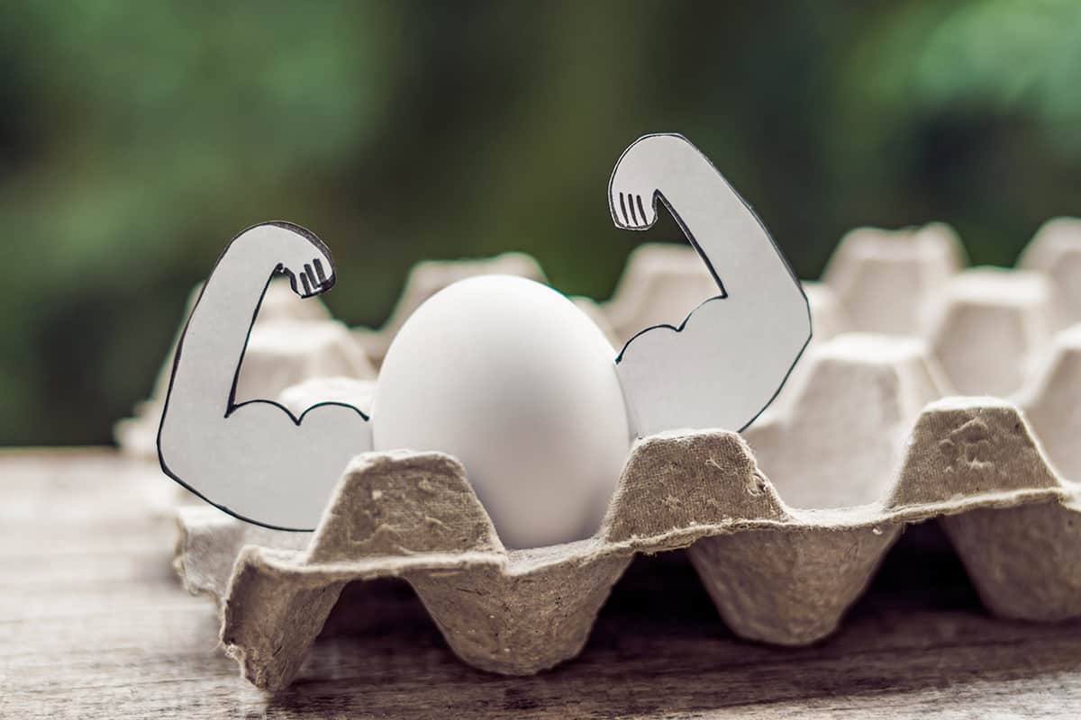 How Much Does An Egg Weigh A Comprehensive List HowdyKitchen