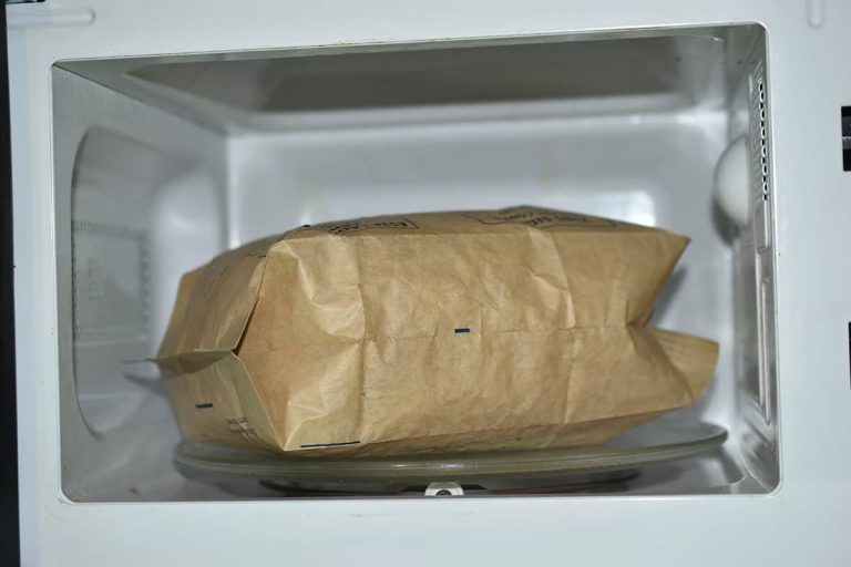 Can You Put Ziploc Bags in the Microwave? - HowdyKitchen