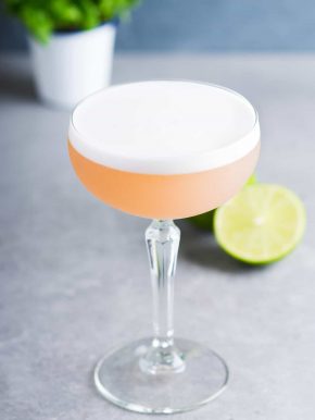 14 Best Gin Cocktails for Every Taste - HowdyKitchen