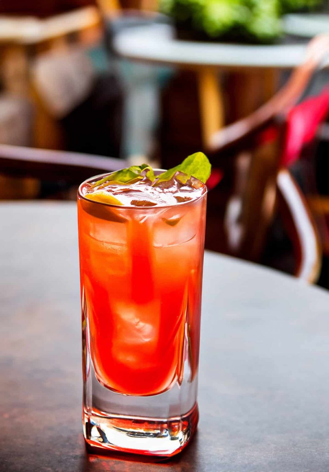 12 Best Cranberry Mocktails - HowdyKitchen