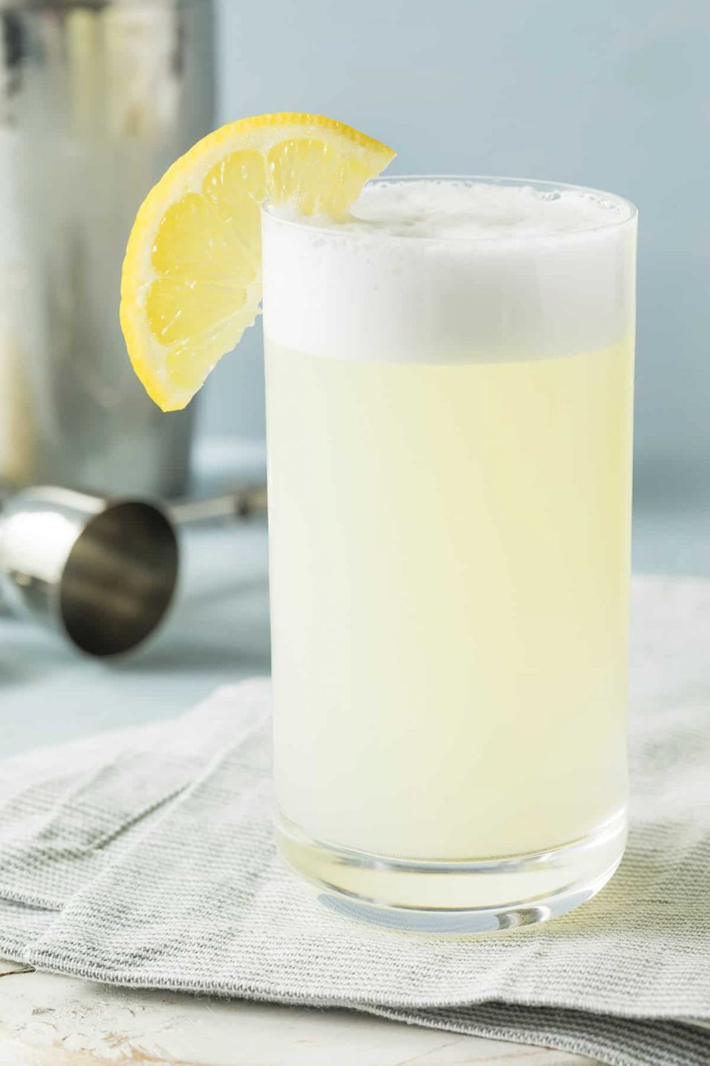 Gin Fizz - HowdyKitchen