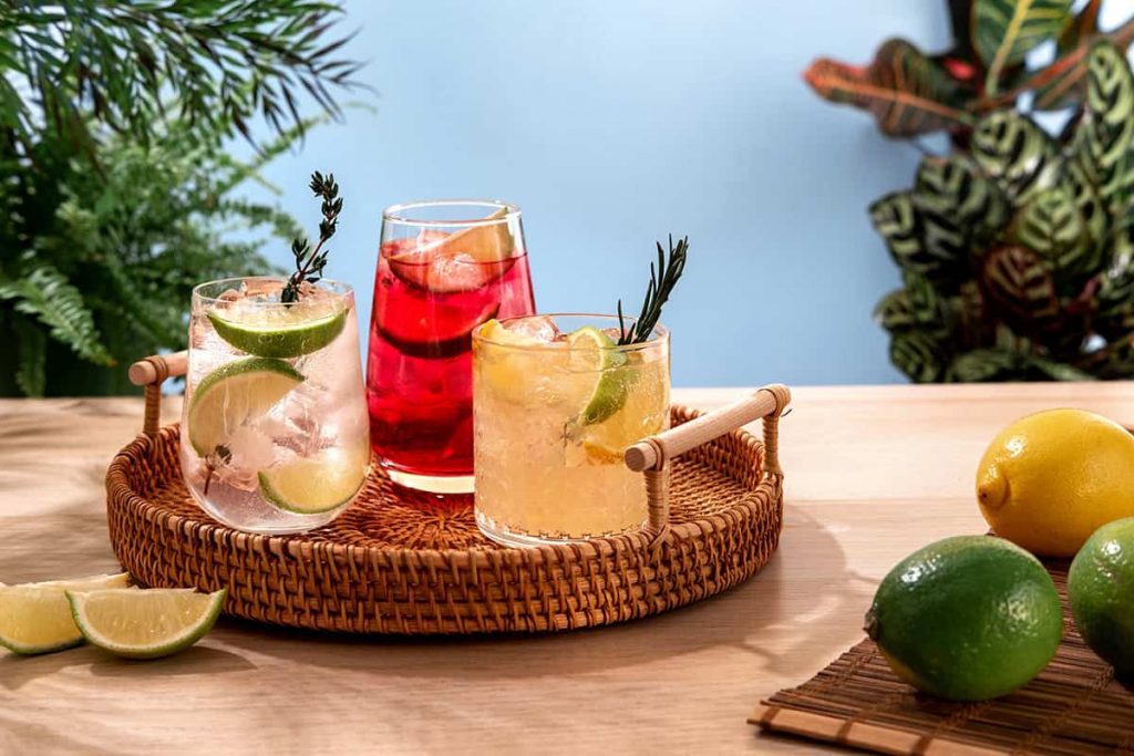 12 Summer Gin Cocktails - Refreshing Recipes for Hot Days - HowdyKitchen
