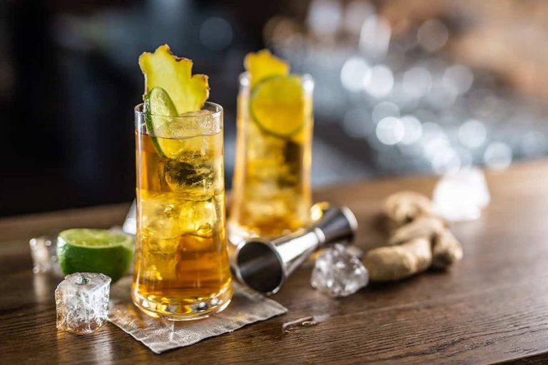 14 Most Popular Fall Rum Cocktails - HowdyKitchen