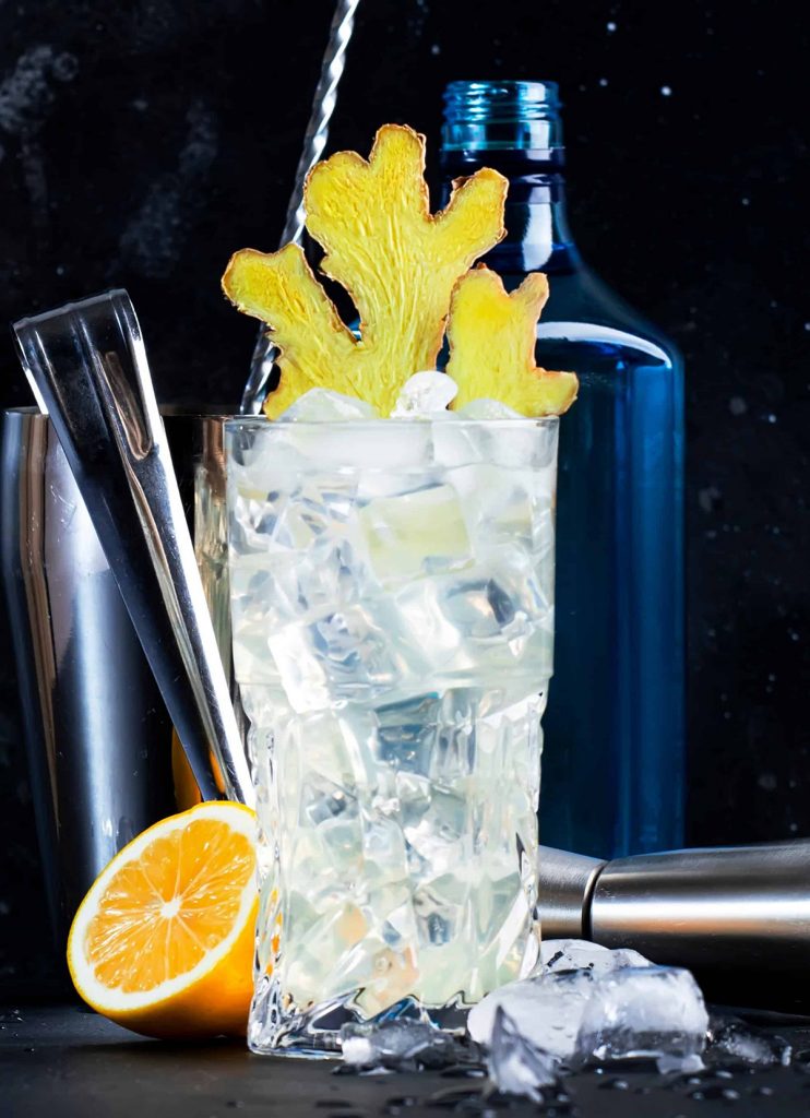14 Best Fall Gin Cocktails - HowdyKitchen