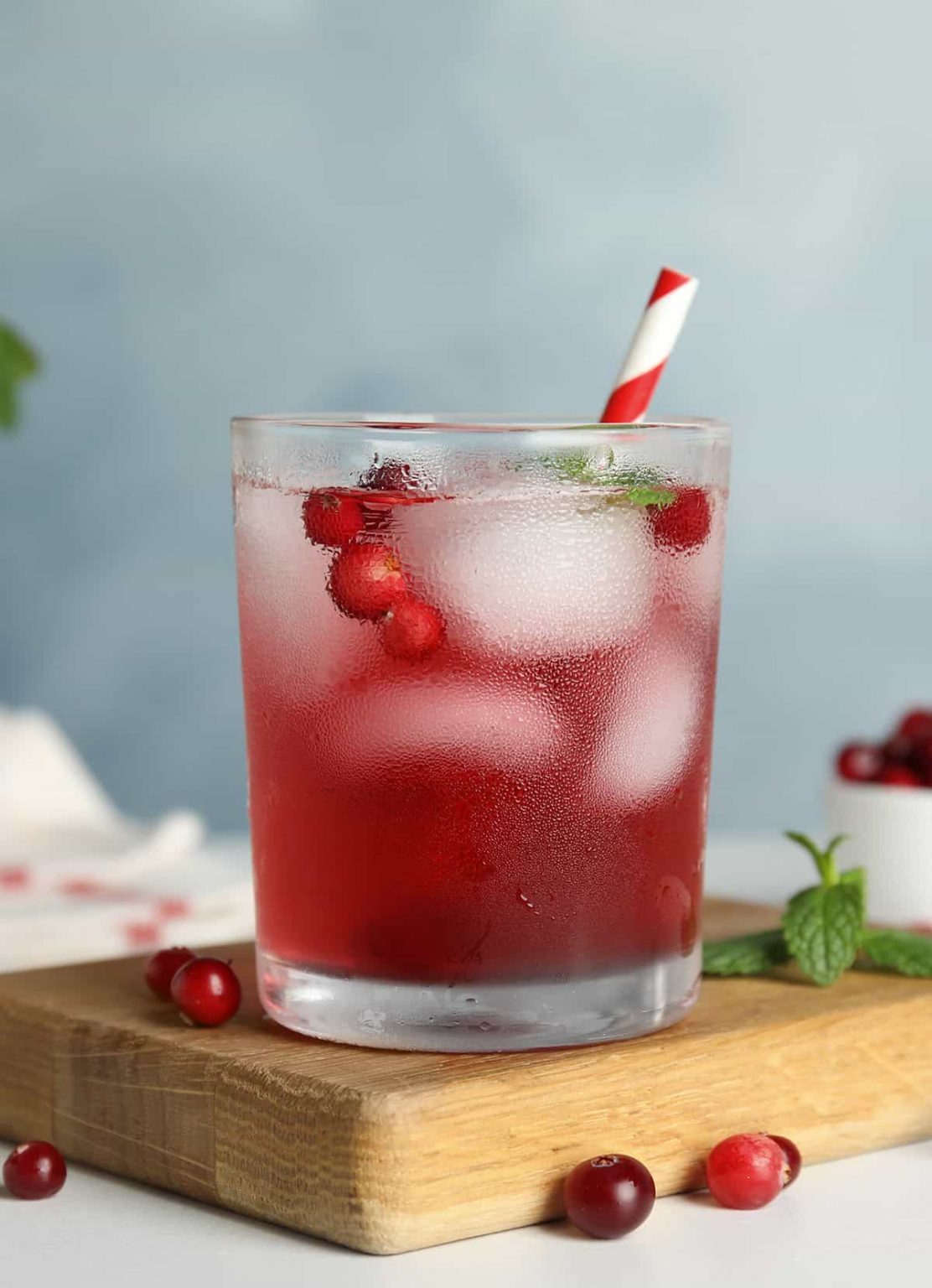 Sparkling Cranberry Vodka Punch - HowdyKitchen