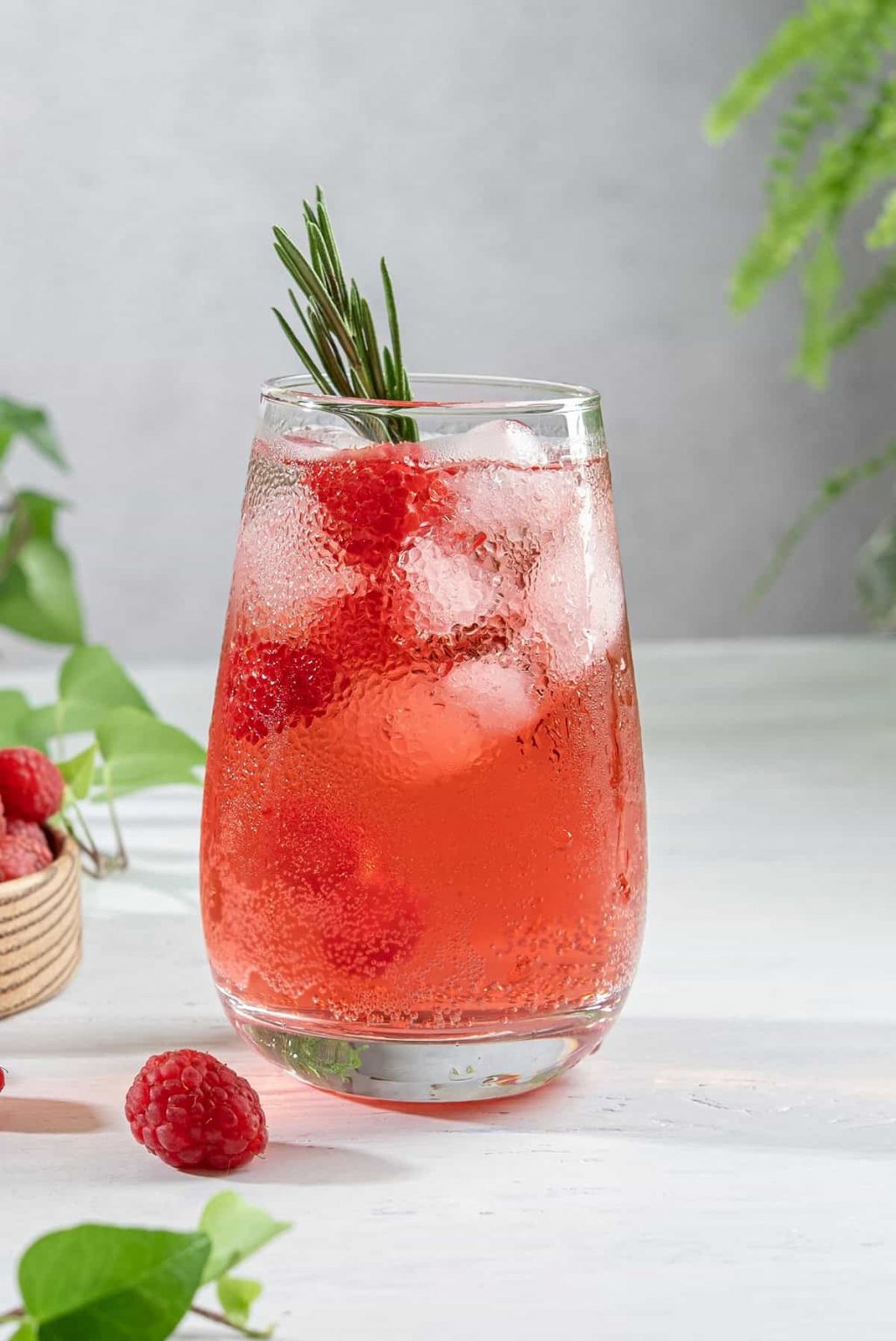 15 Popular Bubbly Mocktails - HowdyKitchen