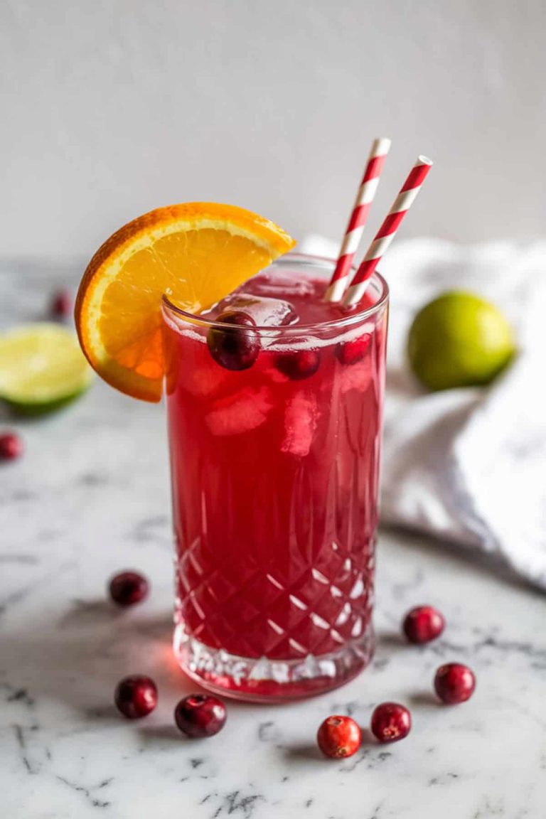 Cranberry Ginger Ale Spritzer - HowdyKitchen