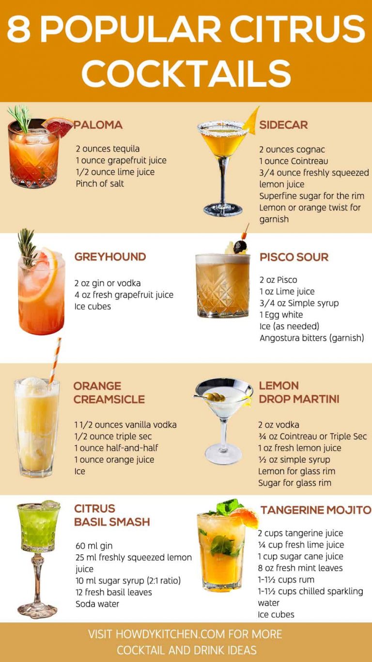 14 Must-try Citrus Cocktails - HowdyKitchen