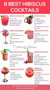 14 Best Hibiscus Cocktails - HowdyKitchen