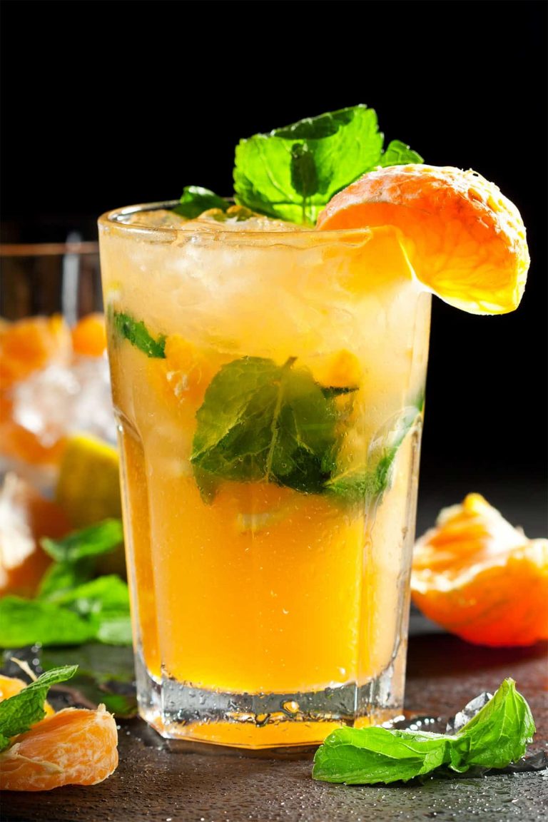 14 Must-try Citrus Cocktails - HowdyKitchen